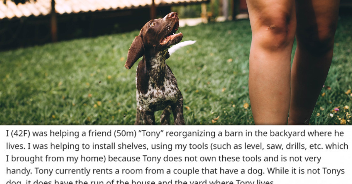 Woman Expects Friend To Clean Dog Poop Off Her Shoe After Accidentally ...