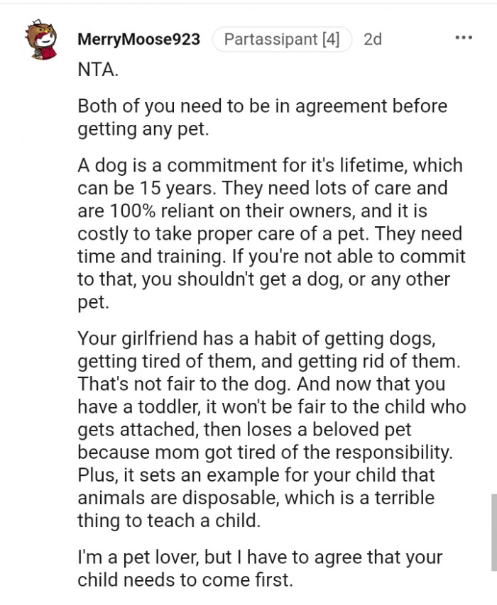 Redditor Gets Online Support For Refusing To Take Responsibility Of Getting A Dog His GF Wants
