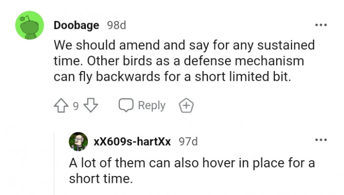 Meet The Hummingbird, The Only Bird In The Whole World That Has The ...