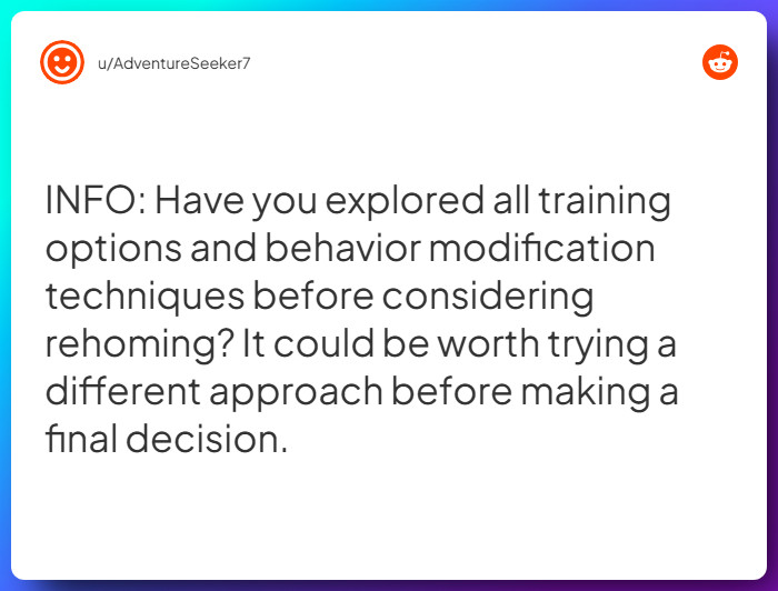 AITA for considering rehoming our aggressive dog against my partners ...