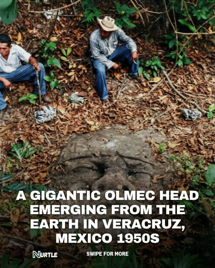 Social Media Pages Are Turning Random Facts Into Everyday Knowledge